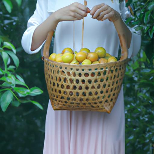 Quả gấc và những điều cần biết